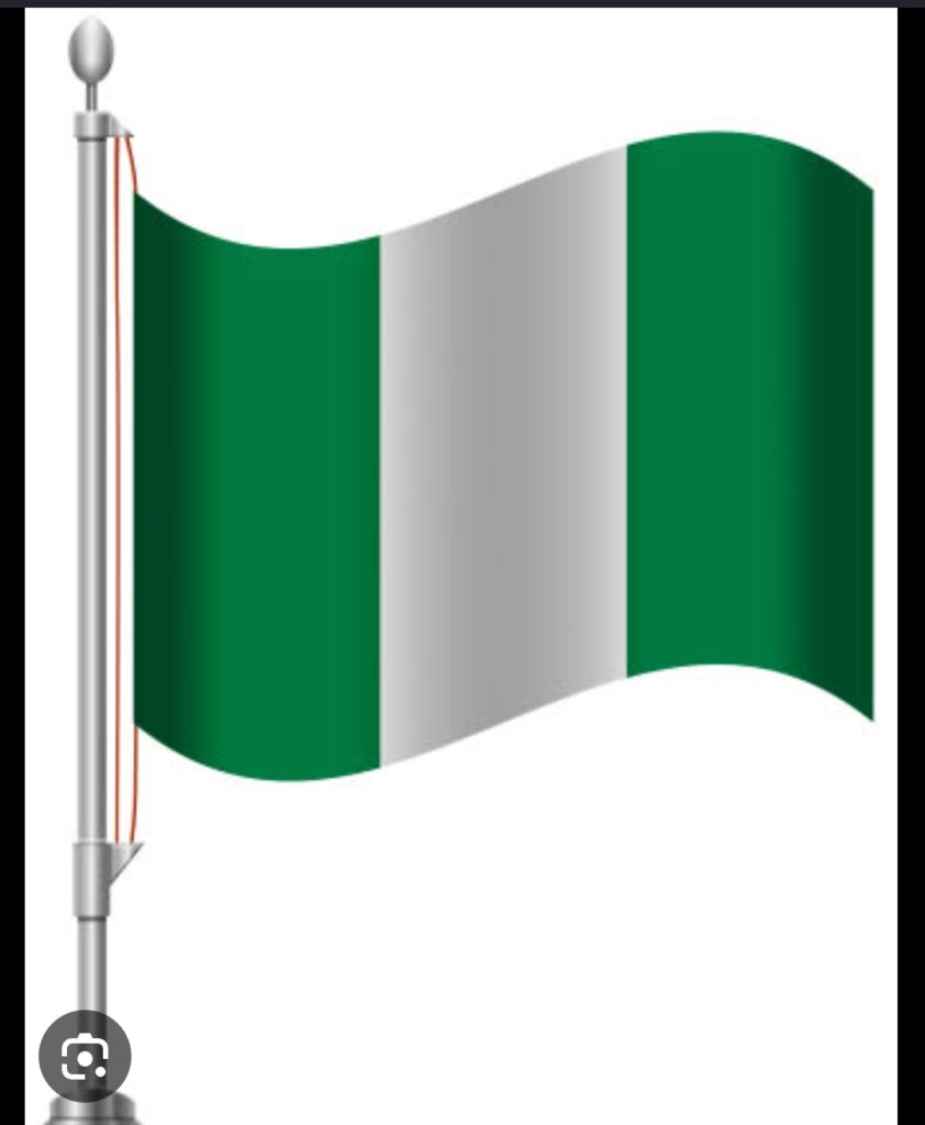 President Bola Tinubu’s 2026 Democracy Day Address - PanNigerianNews